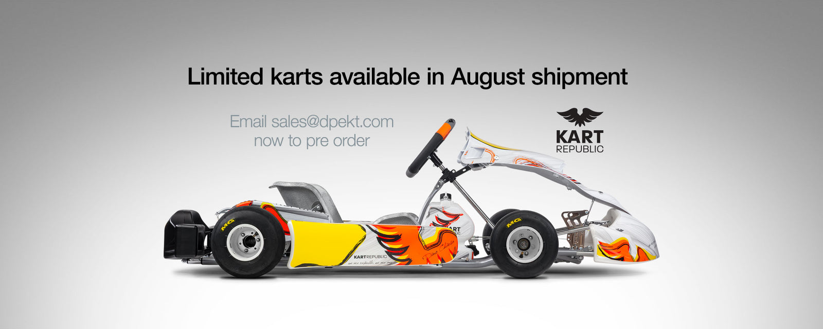 DPE Kart Superstore | Karting Parts | Go Karts | Engines | Accessories